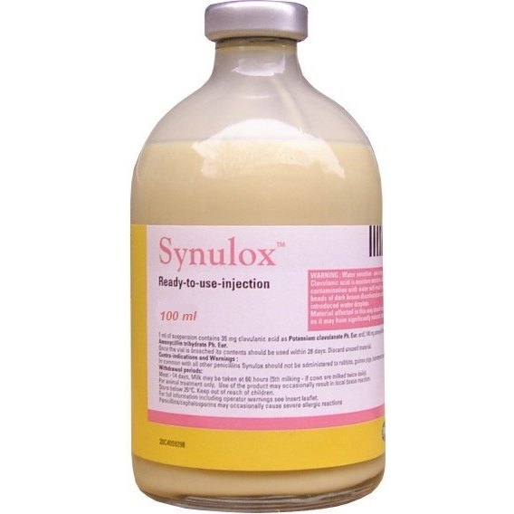 Synulox RTU Inj 100ml – Chemavet